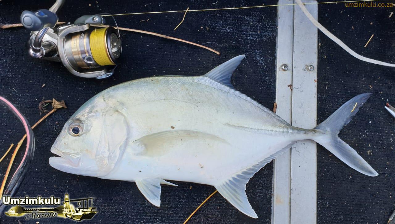 Umzimkulu - News and Views